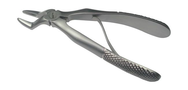 Buy Cat Instruments Pedo Upper Bionet Root Extraction Forceps at Best ...