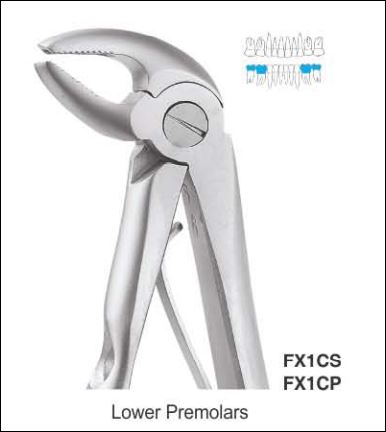 Buy Oracraft Pedodontic Lower Premolars Extraction Forceps at Best ...
