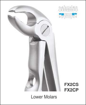 Buy Oracraft Pedodontic Lower Molars Extraction Forceps at Best Price ...